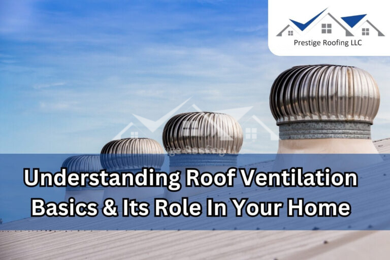 Understanding Roof Ventilation Basics & Its Role In Your Home