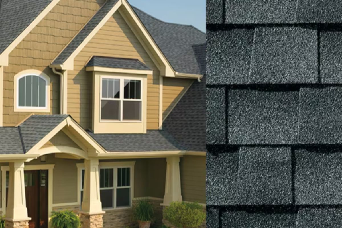 Top 10 Black Roofing Shingles For Your Home
