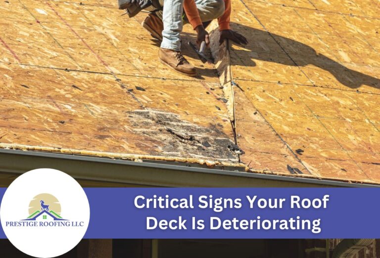 Signs of Roof Deck Damage: How to Spot Problems Before They Worsen