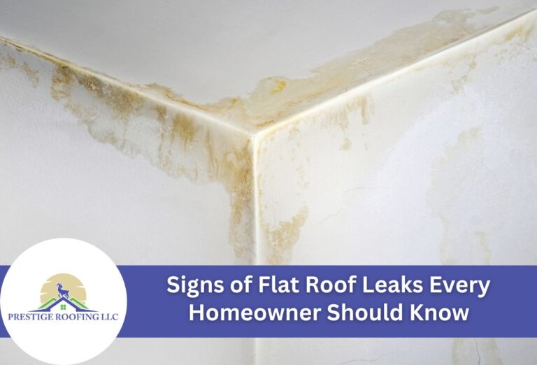 Signs of Flat Roof Leaks Every Homeowner Should Know